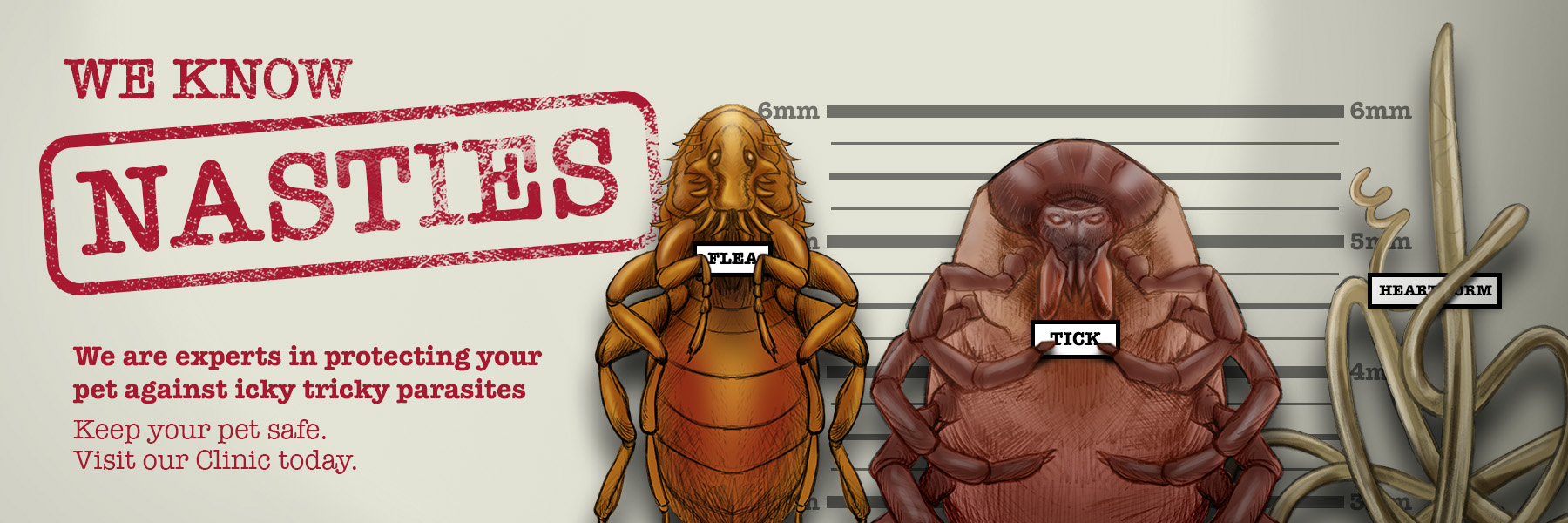 Know Your Parasites - Hornsby Veterinary Hospital